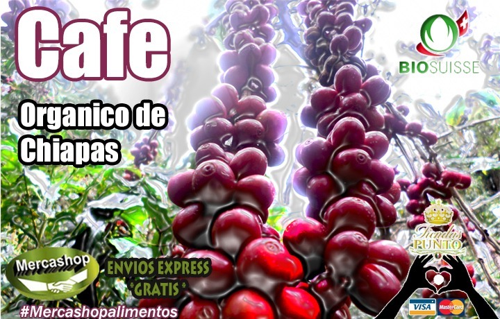 Café Orgánico | Chiapas 540g | 3pak | – Tiendaspunto.com®